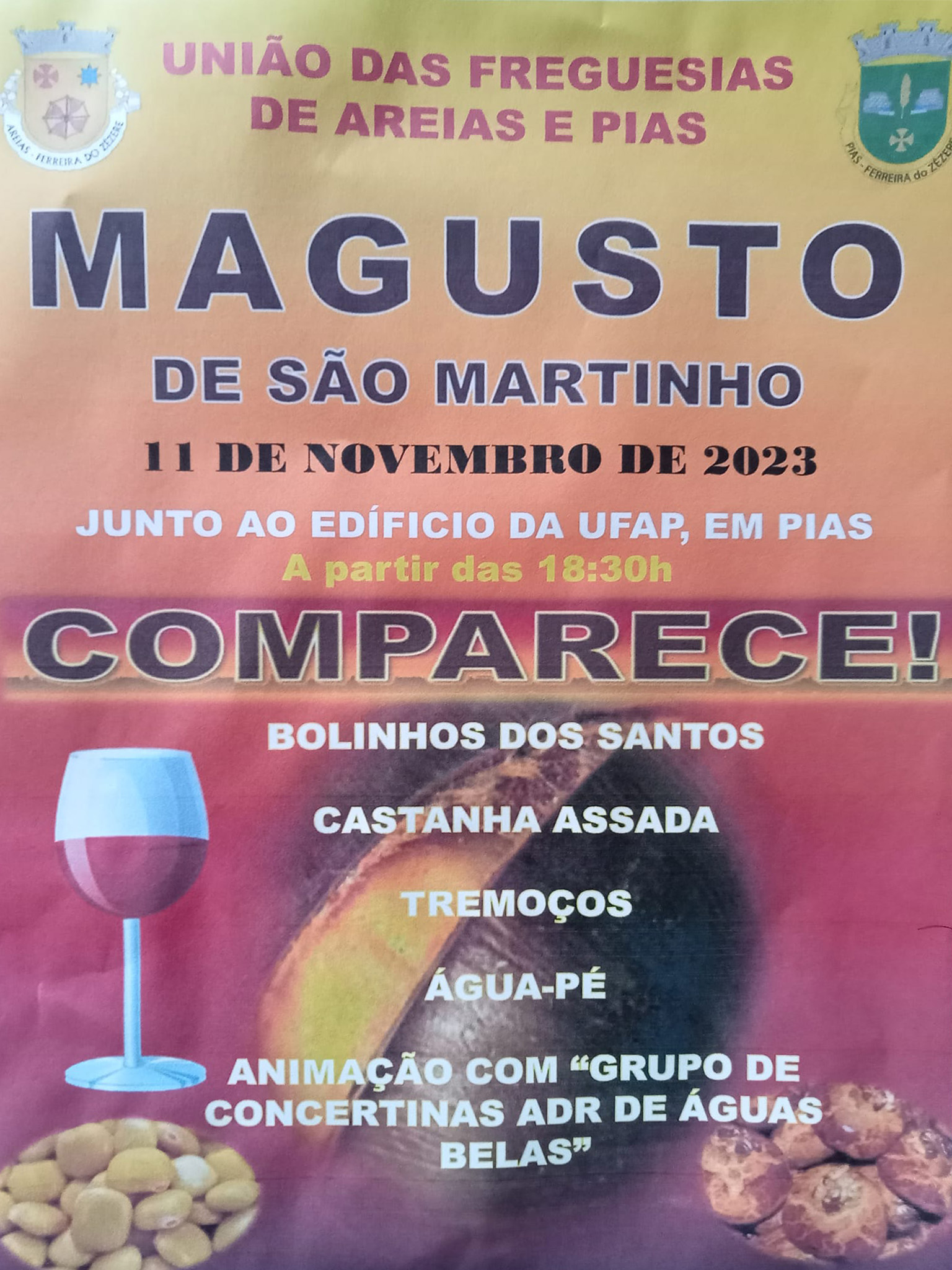 Magusto de São Martinho - Viver no Centro de Portugal